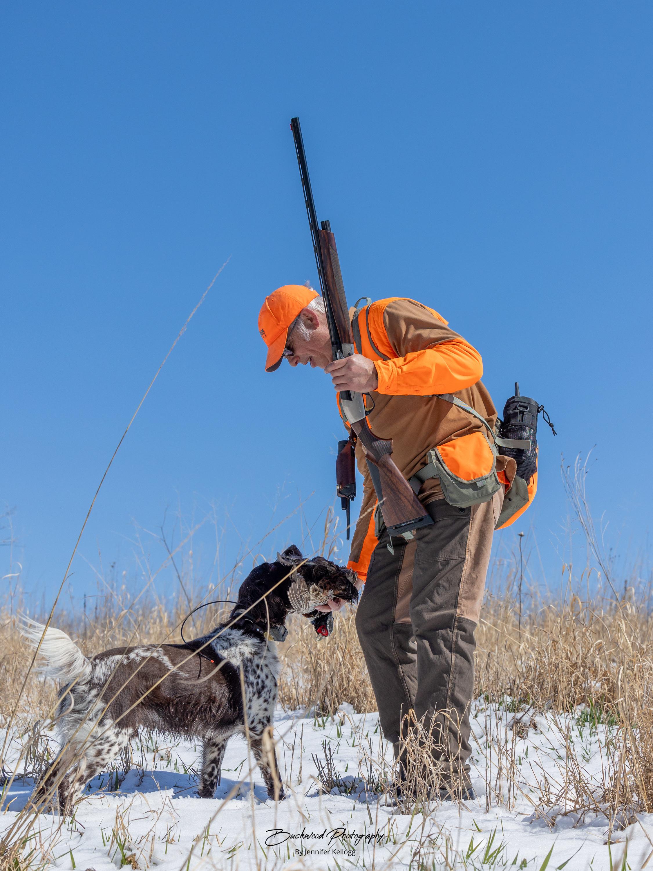 VC IntCH Brush Dale’s Open Season MH (Jager) – Buckwood Kennel